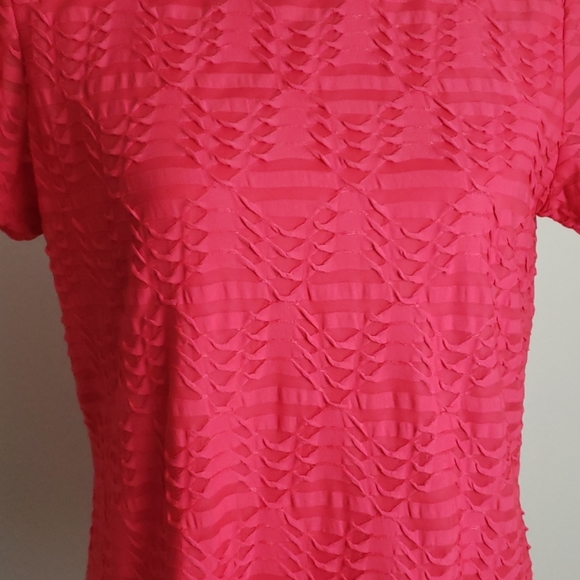 Calvin Klein | Tops | Calvin Klein Short Sleeve Watermelon Top | Poshmark